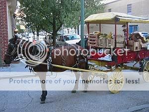 The arabbers of Baltimore | Bridlepath