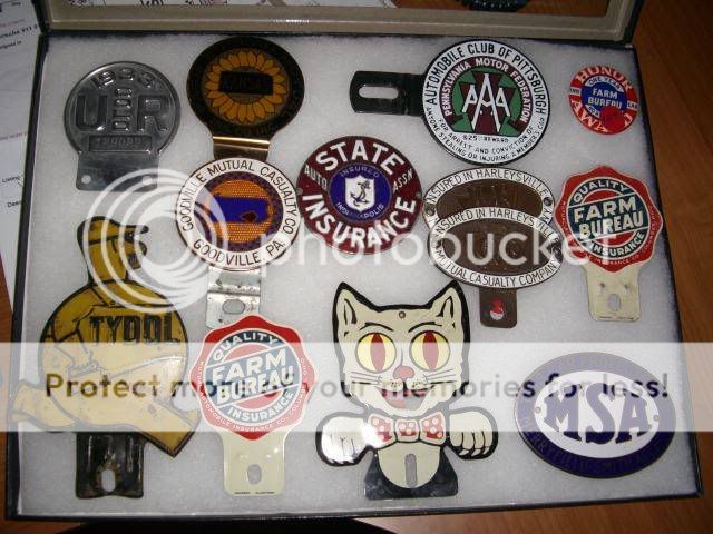 License plate TOPPERS.....let's see 'em! | Page 6 | The H.A.M.B.