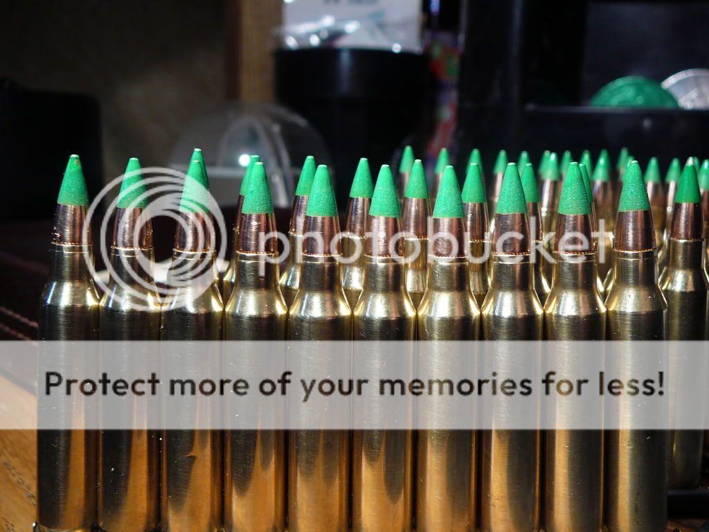 .223 load with M855 bullet - AR15.COM