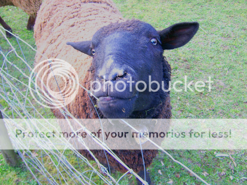 European Tribune - European Salon de News, Discussion et Klatsch – 1 ...