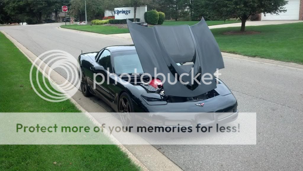 High rise cowl hood(who has pics) - Page 2 - CorvetteForum - Chevrolet ...