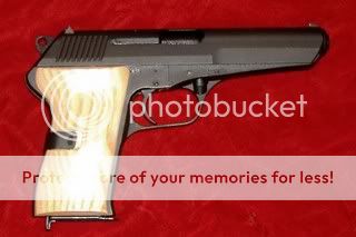 CZ-52 aftermarket parts (grips) | Gunboards Forums
